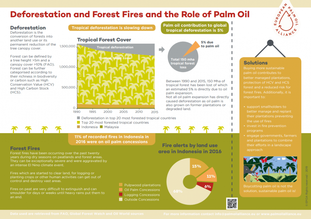 Is palm oil destroying rainforests? » European Palm Oil Alliance