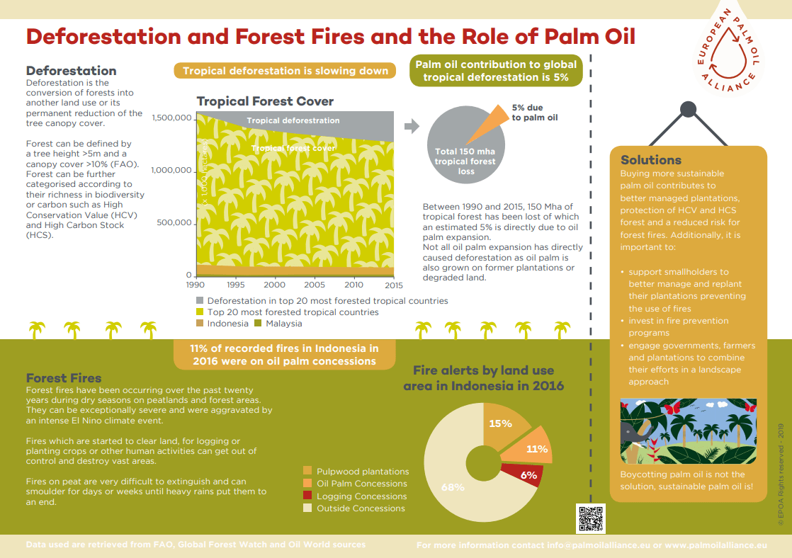 Is palm oil destroying rainforests? » European Palm Oil Alliance